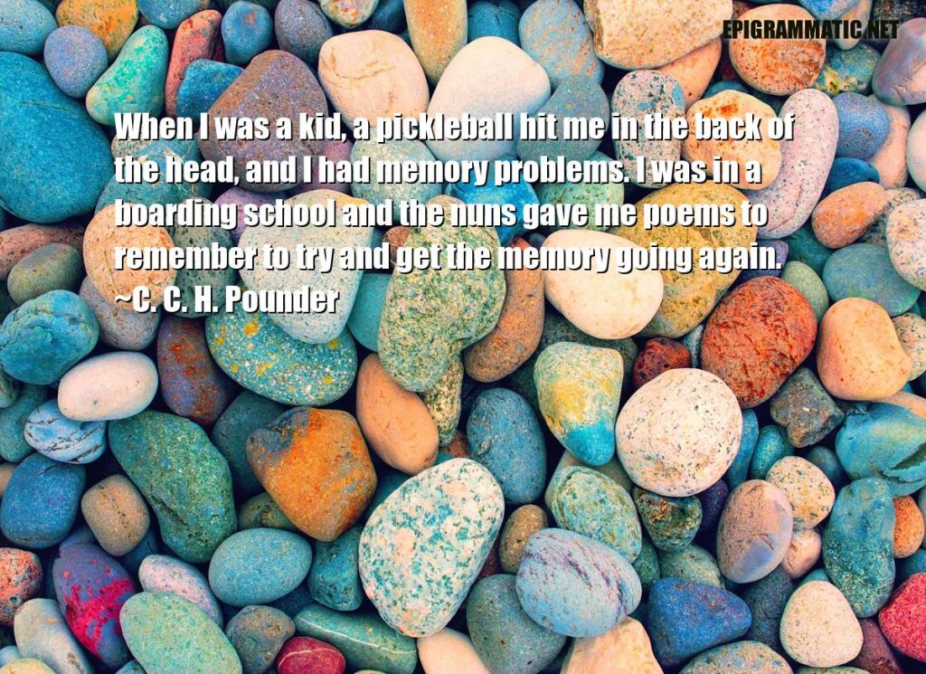 C. C. H. Pounder Quotes - When I was a kid, a pickleball hit me in the ...